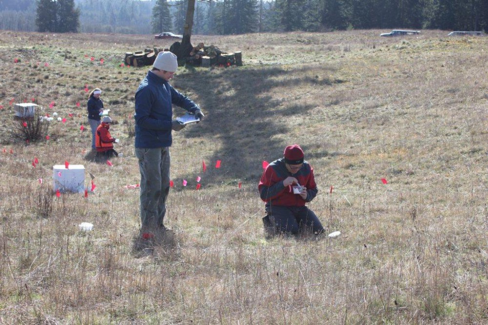 High diapause survival and a successful release for the butterfly ...