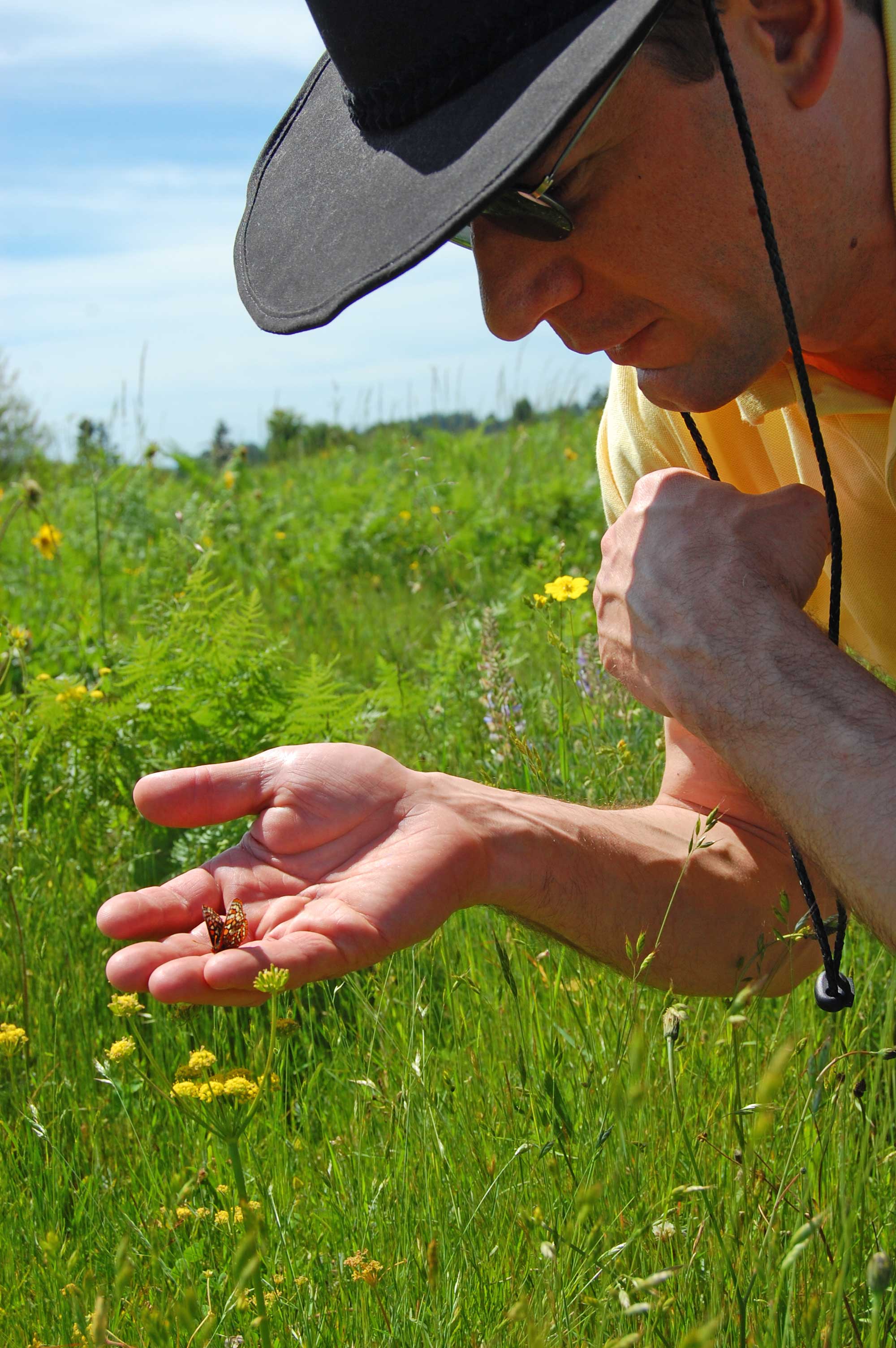 Butterflies from MCCCW released with the help of Attorney General’s ...