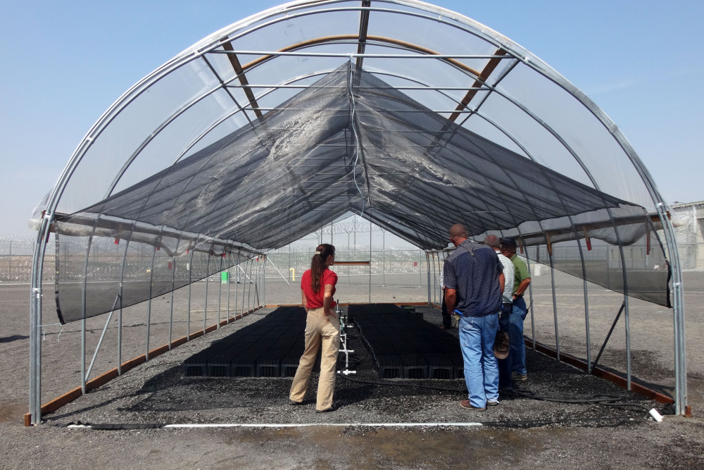 Growing Sagebrush in Central Washington | Sustainability in Prisons Project