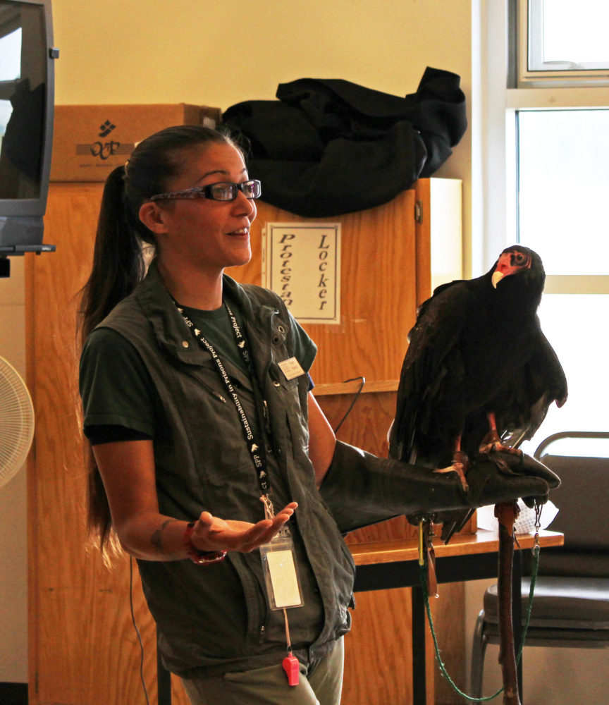 Fawn Harris | Sustainability in Prisons Project