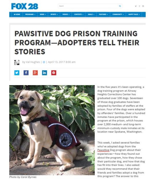 Pawsitive dog prison training program–adopters tell their stories ...