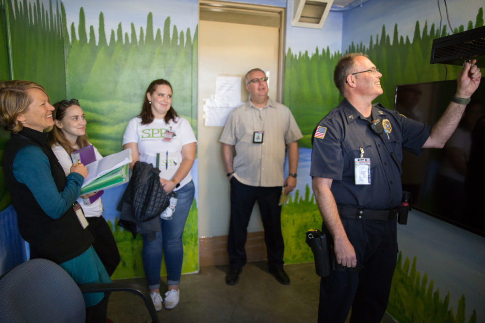 Nature Imagery in Prisons Project | Sustainability in Prisons Project