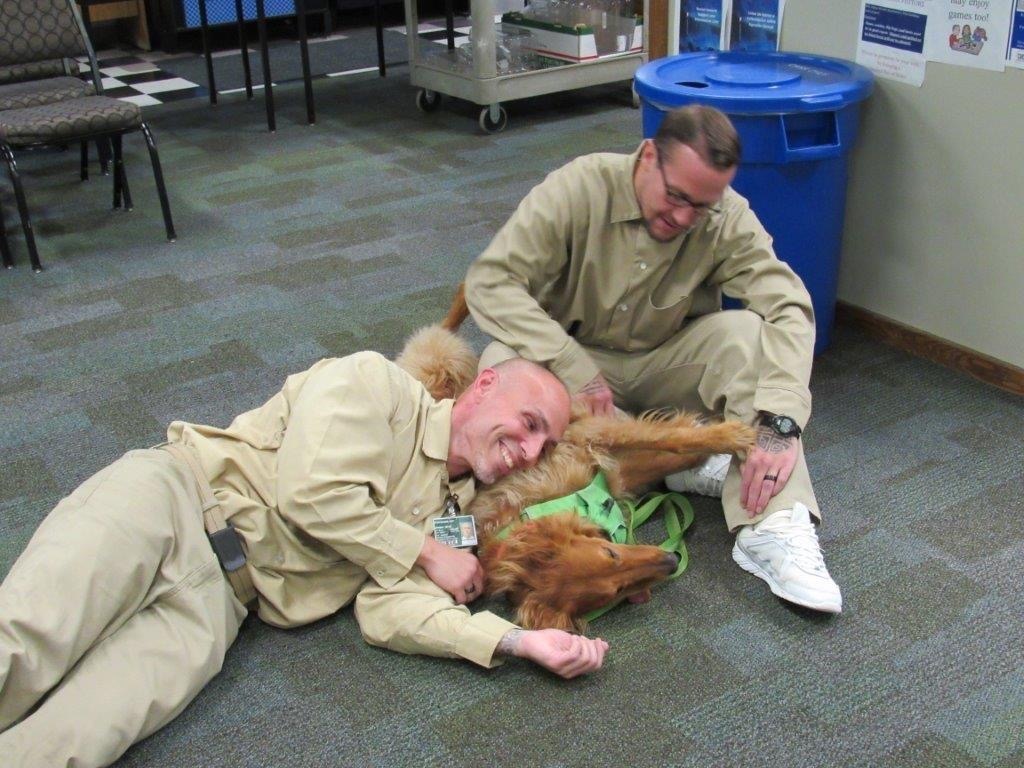 Prison Life | Sustainability in Prisons Project