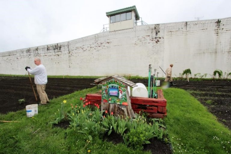 Sustainable Operations | Sustainability in Prisons Project