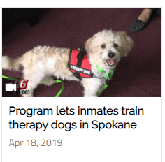Program lets inmates train therapy dogs in Spokane | Sustainability in ...