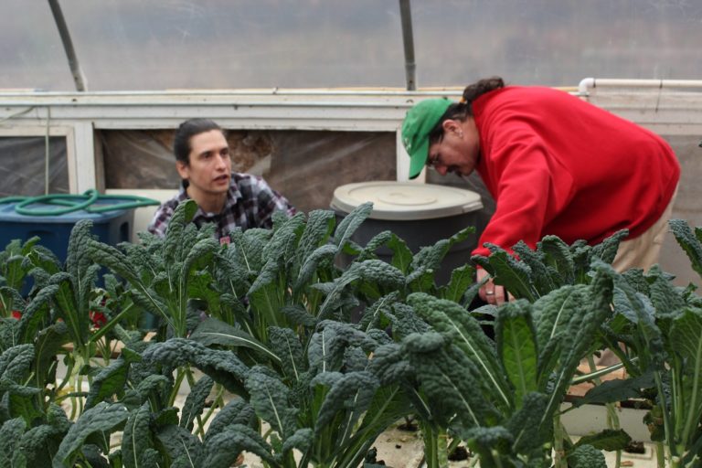 Sustainable Operations | Sustainability in Prisons Project