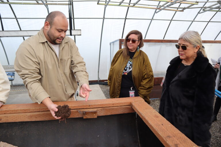 Blog | Sustainability in Prisons Project